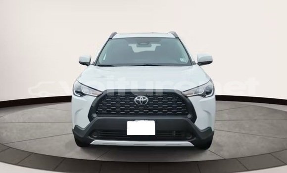 Buy and sell cars, motorbikes and trucks in Morocco - voiturenet
